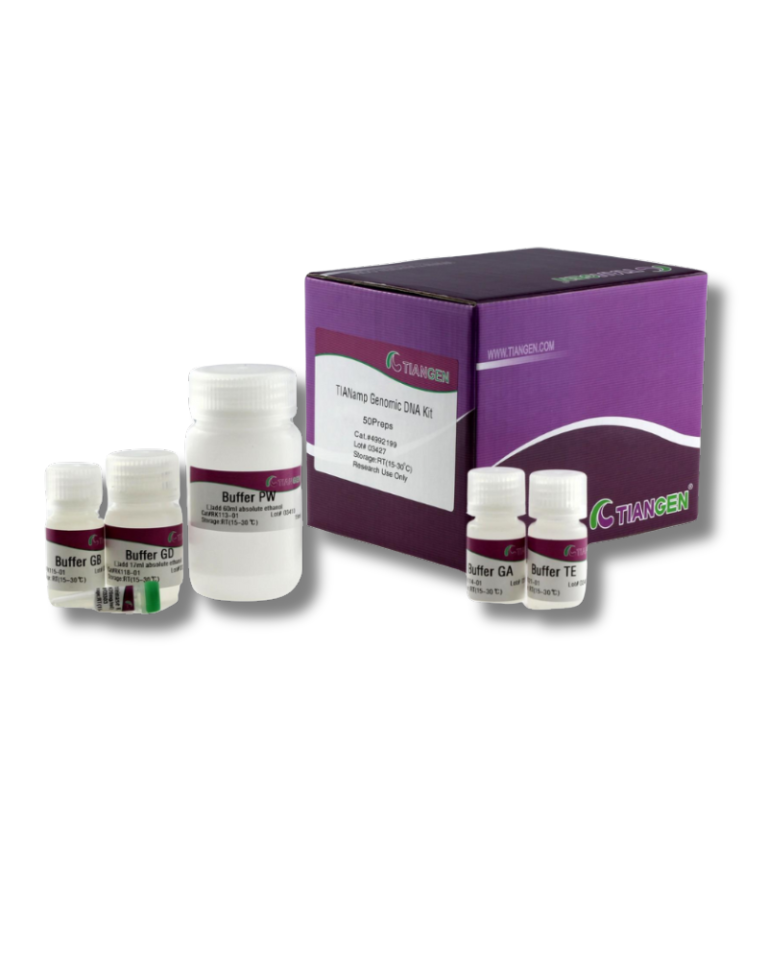 Kit TIANamp Genomic DNA - Equipal